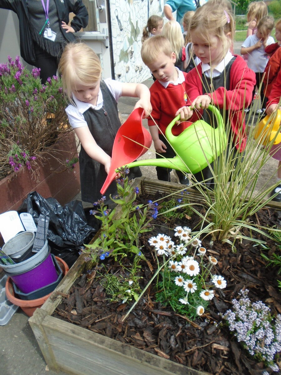 Curriculum – Filey Church of England Nursery and Infants Academy